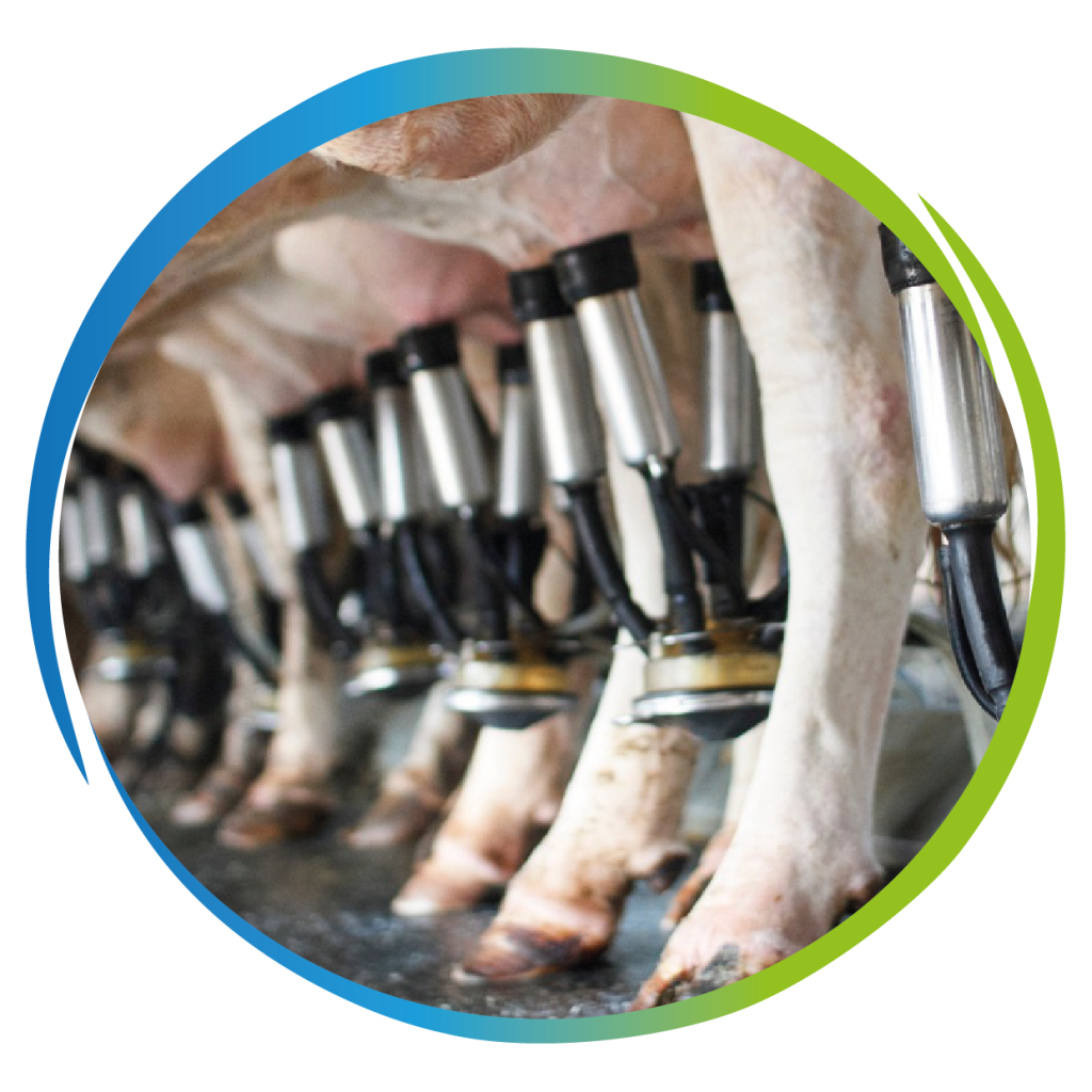 Nova Genetics – Venta de semen y embriones bovinos y caprinos